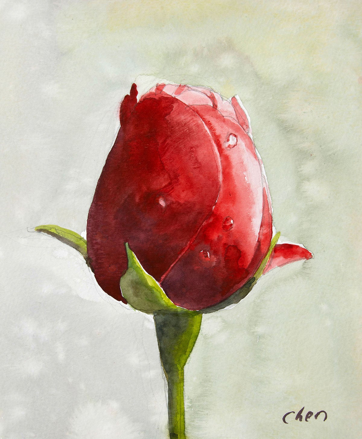 A red rose - watercolor | Yong Chen