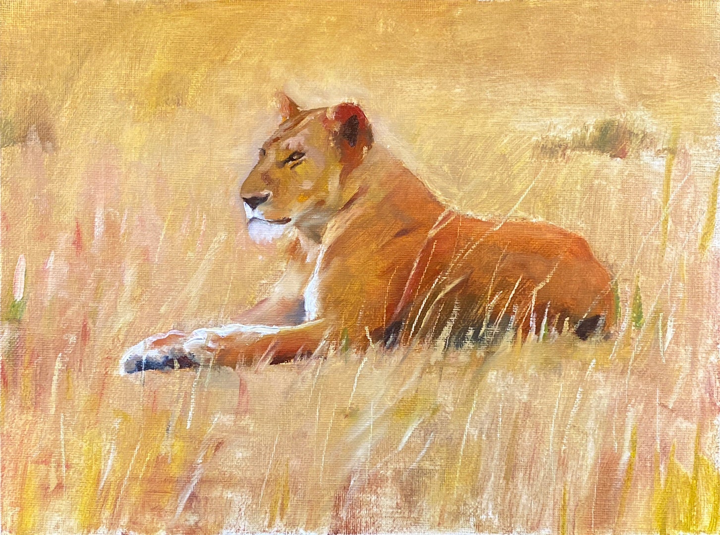 Lion - oil | Yong Chen