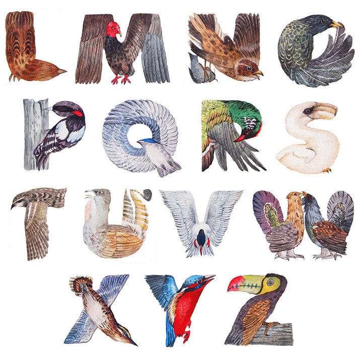 Alphabet Poster - Alphabirds | Yong Chen