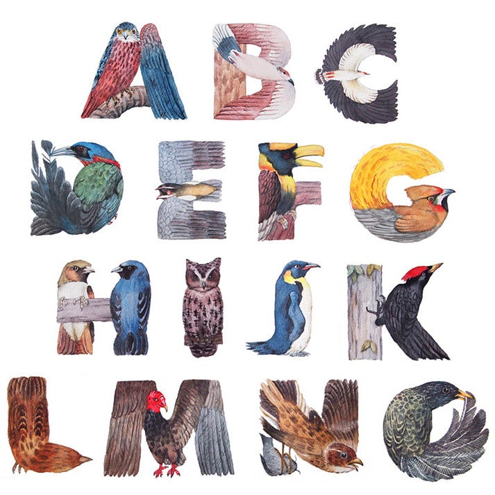 Alphabet Poster - Alphabirds | Yong Chen